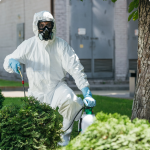 Pest Control Sydney - Andys Pest Control