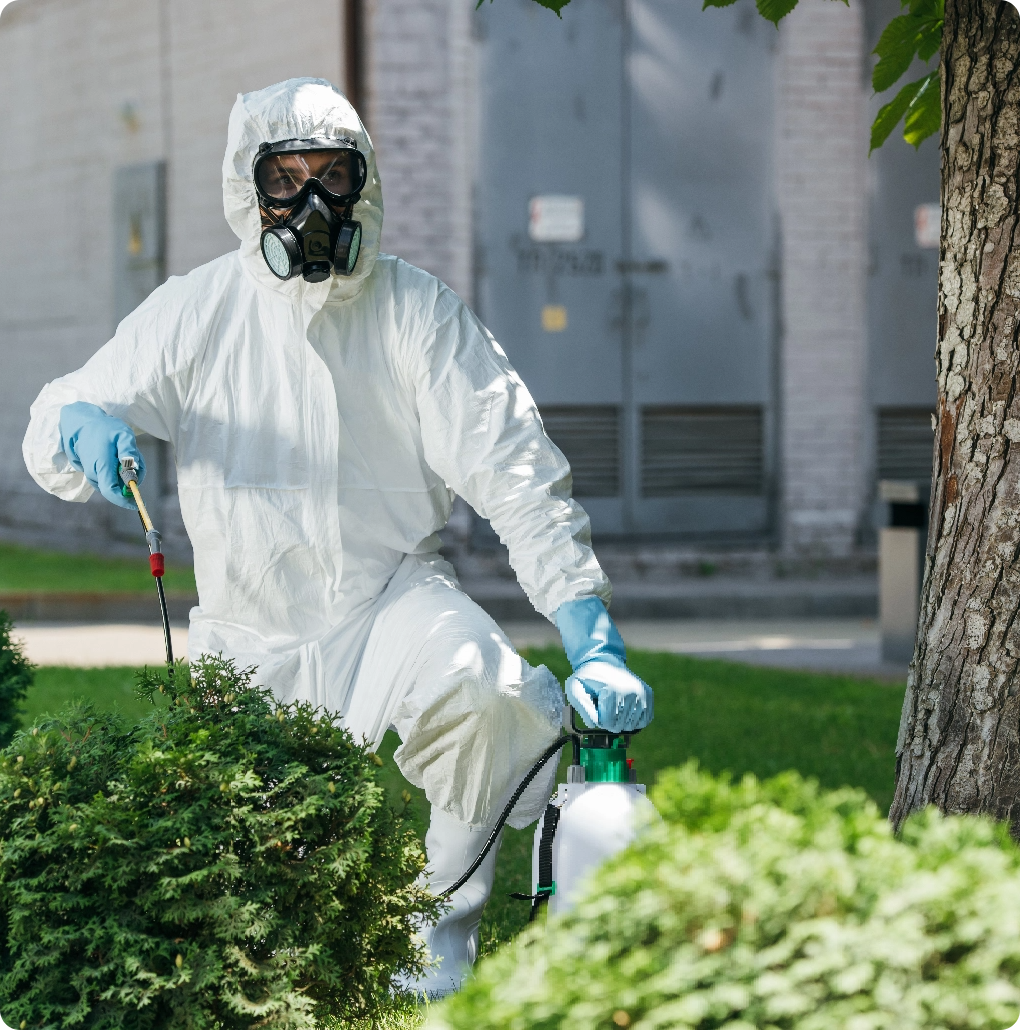 Pest Control Sydney - Andys Pest Control